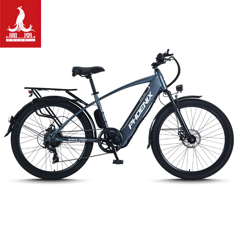 Xe đạp trợ lực điện Phoenix G2 (30Ah)